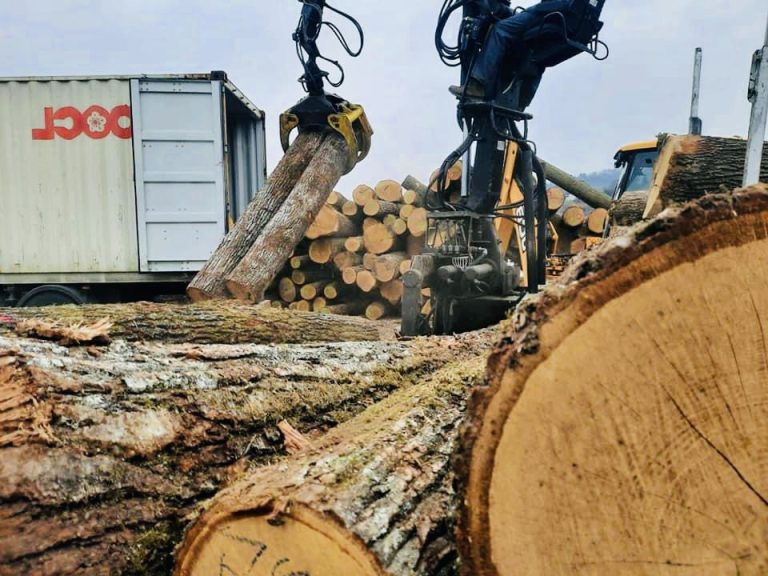 Top #1 Timber Exporter, Wholesaler & Supplier from Africa