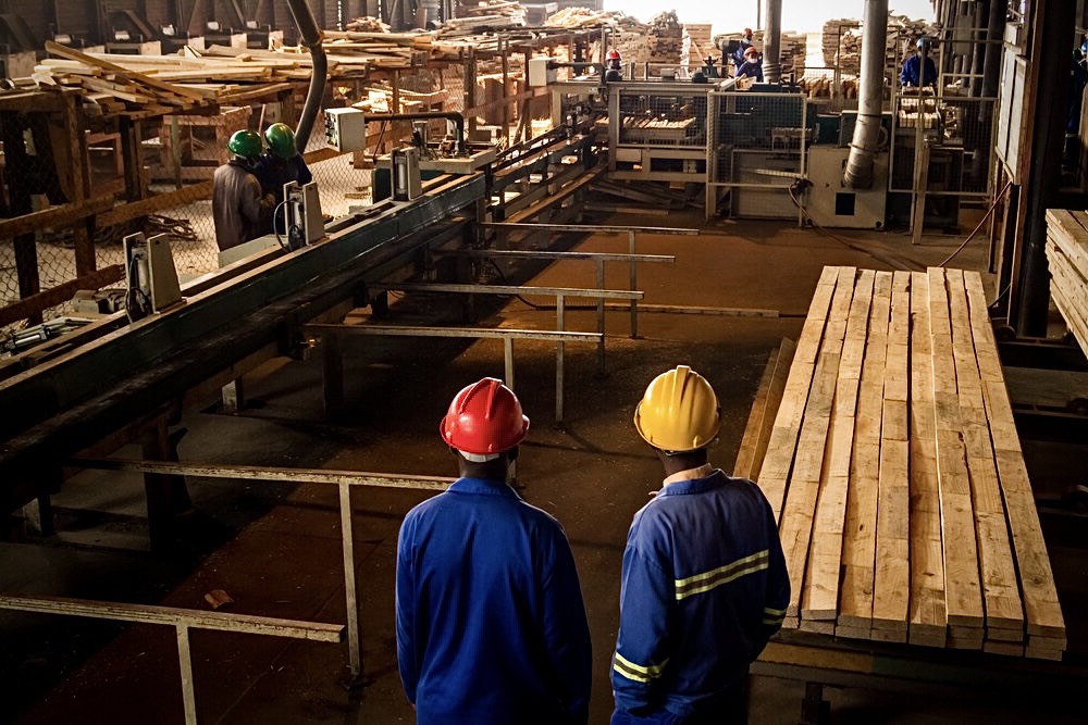 Top #1 Timber Exporter, Wholesaler & Supplier from Africa