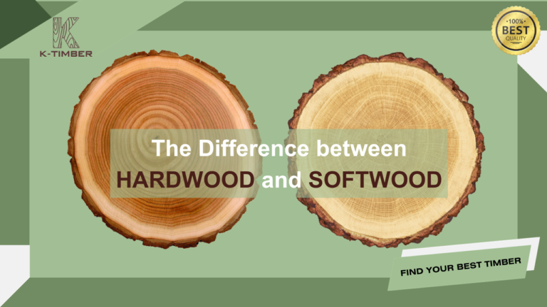 The Difference Between Hardwood and Softwood – K-Timber
