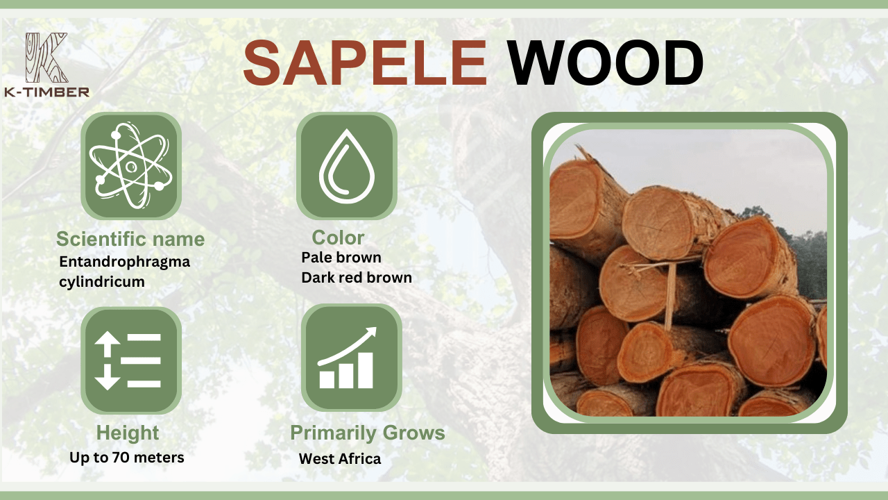 Sapele Wood: Properties, Characteristics & Uses – K-Timber
