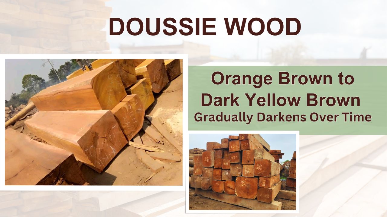 Doussie Wood: Properties, Characteristics & Uses – K-Timber