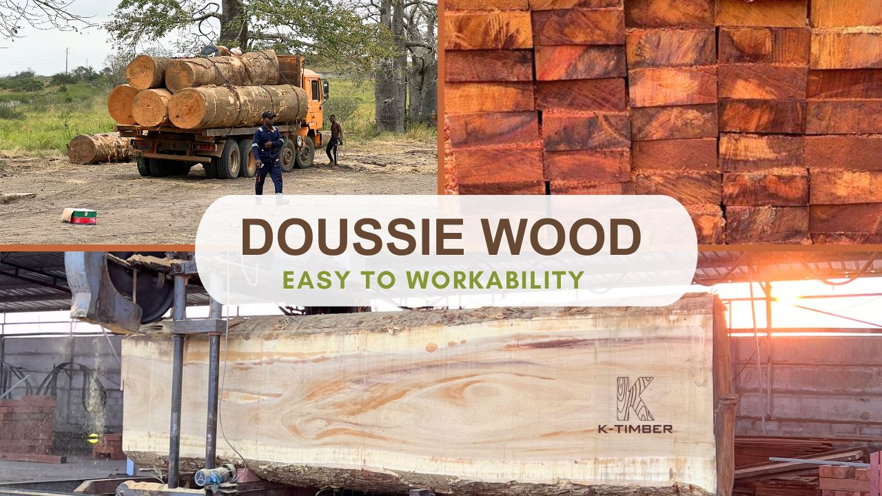 Doussie Wood: Properties, Characteristics & Uses – K-Timber