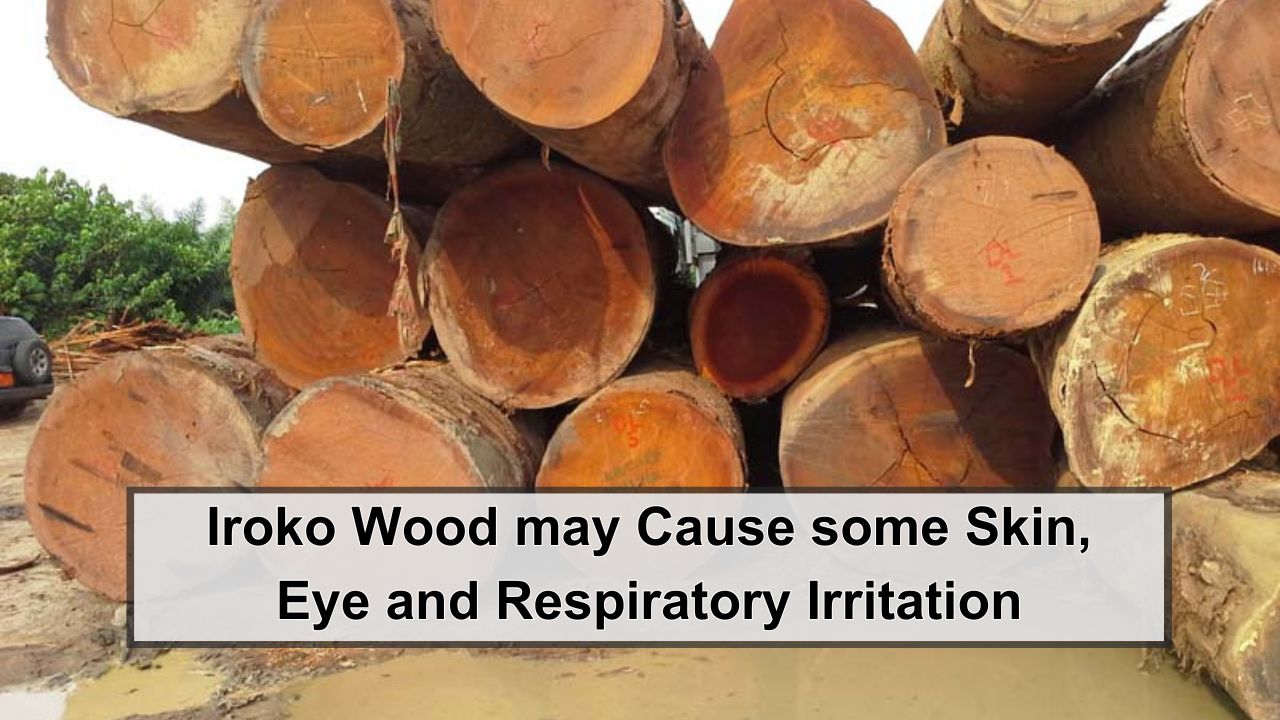 Iroko Wood: Properties, Characteristics & Uses – K-Timber
