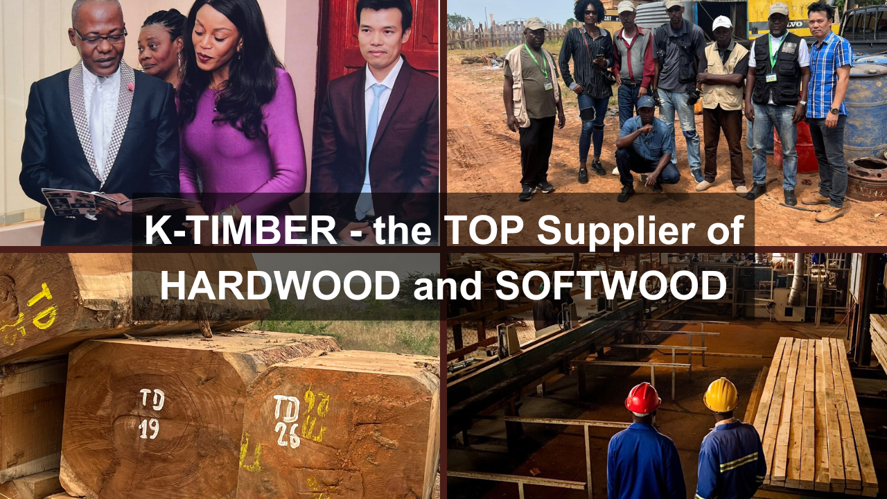 The Difference Between Hardwood and Softwood – K-Timber