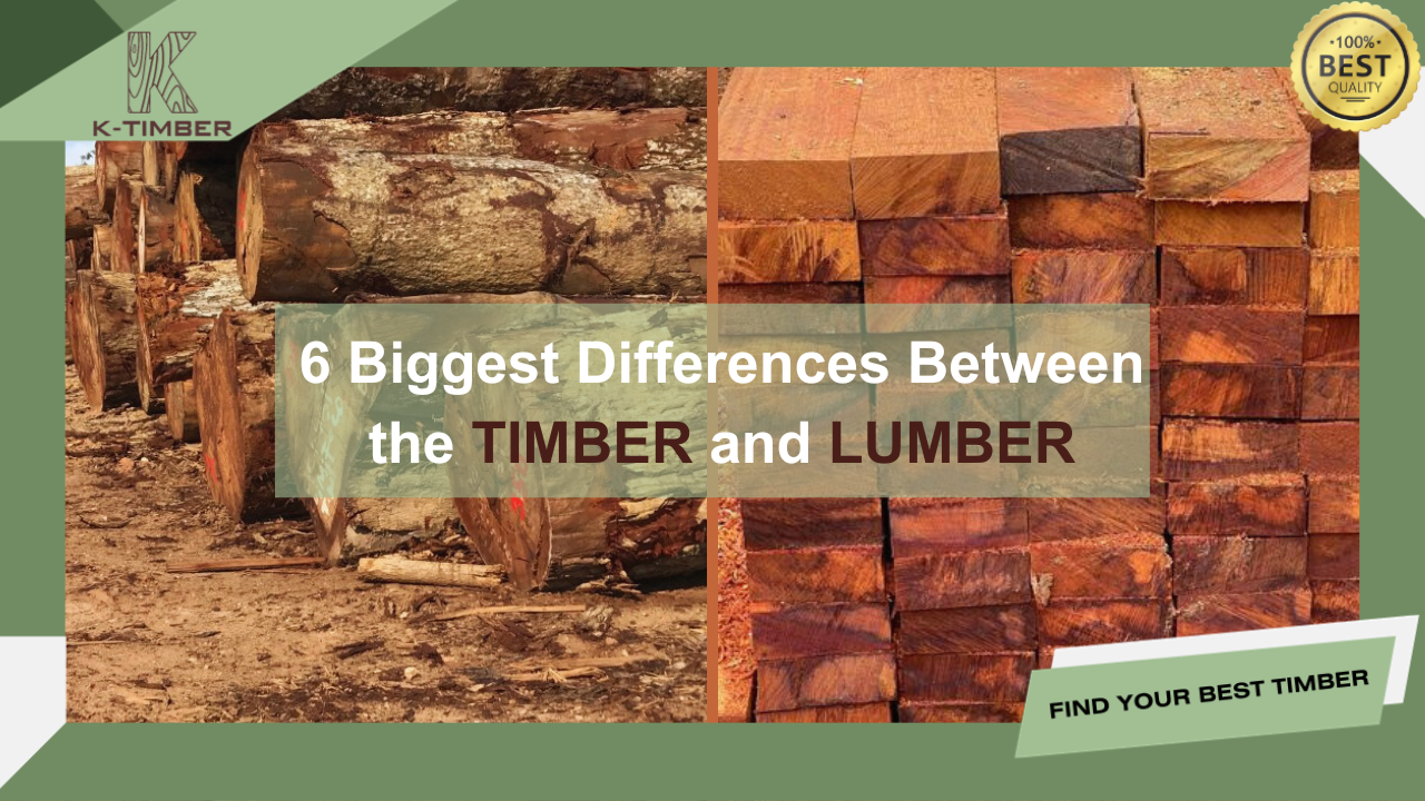 6 Biggest Differences Between the Timber and Lumber – K-Timber
