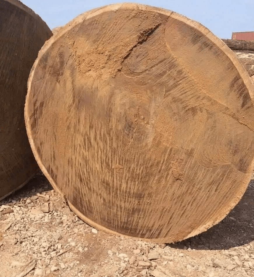 List of International Export Timber Price – K-Timber