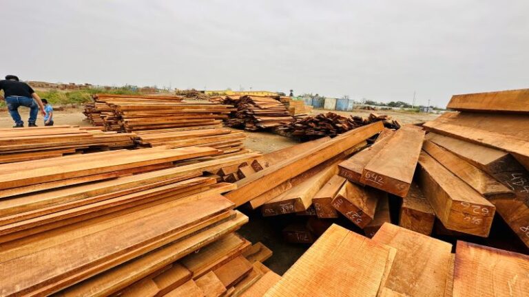 6 Biggest Differences Between the Timber and Lumber – K-Timber