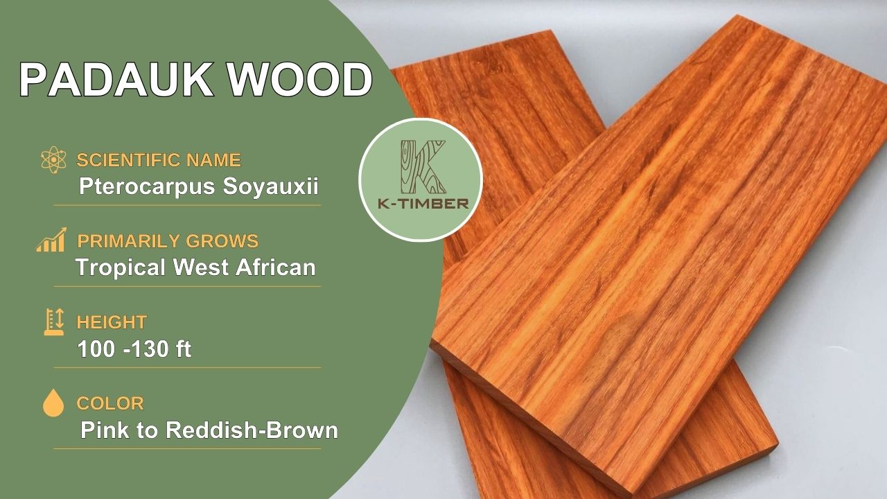 Padauk Wood Properties Uses Advantages And Disadvantages