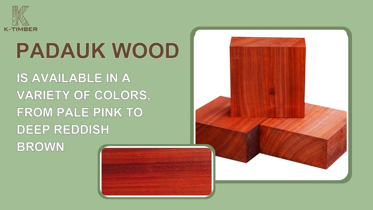 Padauk Wood: Properties, Uses, Advantages & Disadvantages – K-Timber