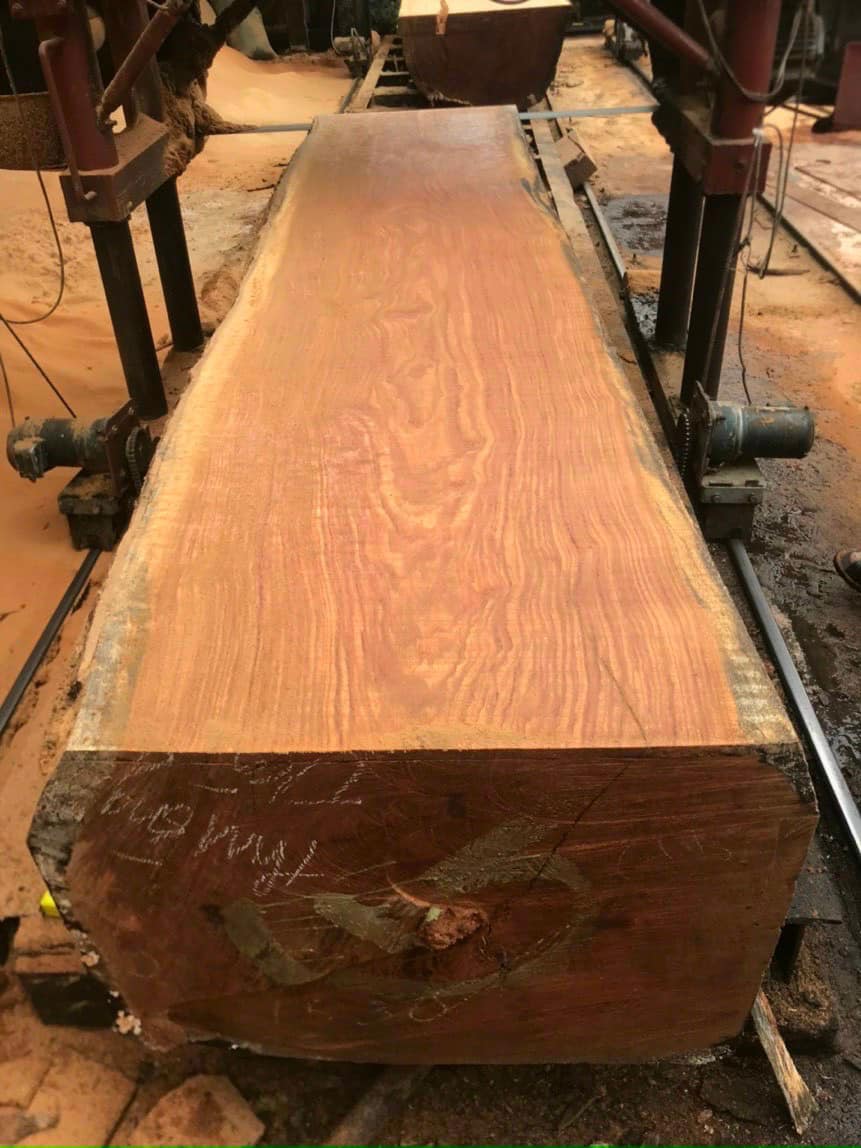 Buy Doussie Wood: Top Supplier, Wholesaler & Exporter