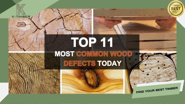 Top 11 Common Wood Defects to Avoid for Wholesaler – K-Timber