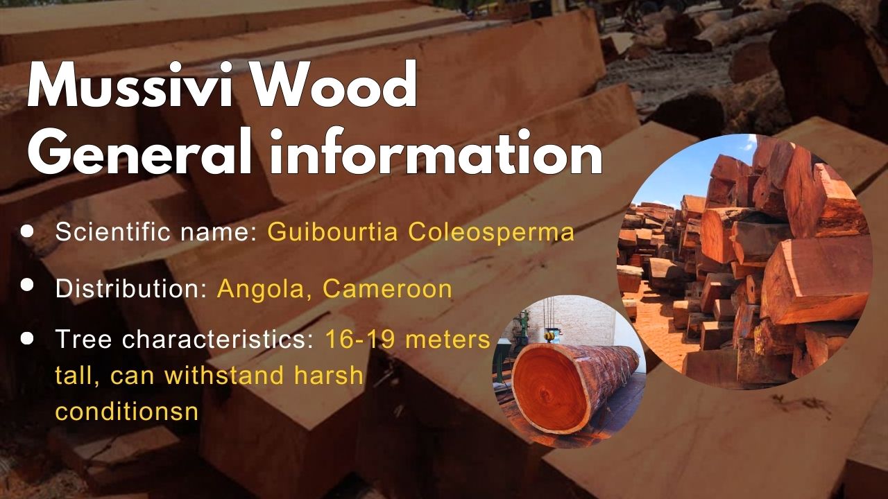 Mussivi Wood: Properties, Characteristics & Uses – K-Timber