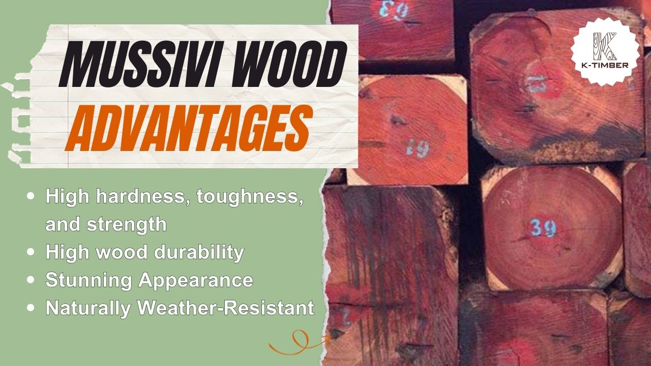 Mussivi Wood: Properties, Characteristics & Uses – K-Timber