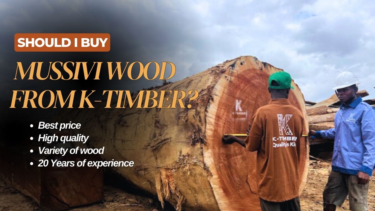 Mussivi Wood: Properties, Characteristics & Uses – K-Timber