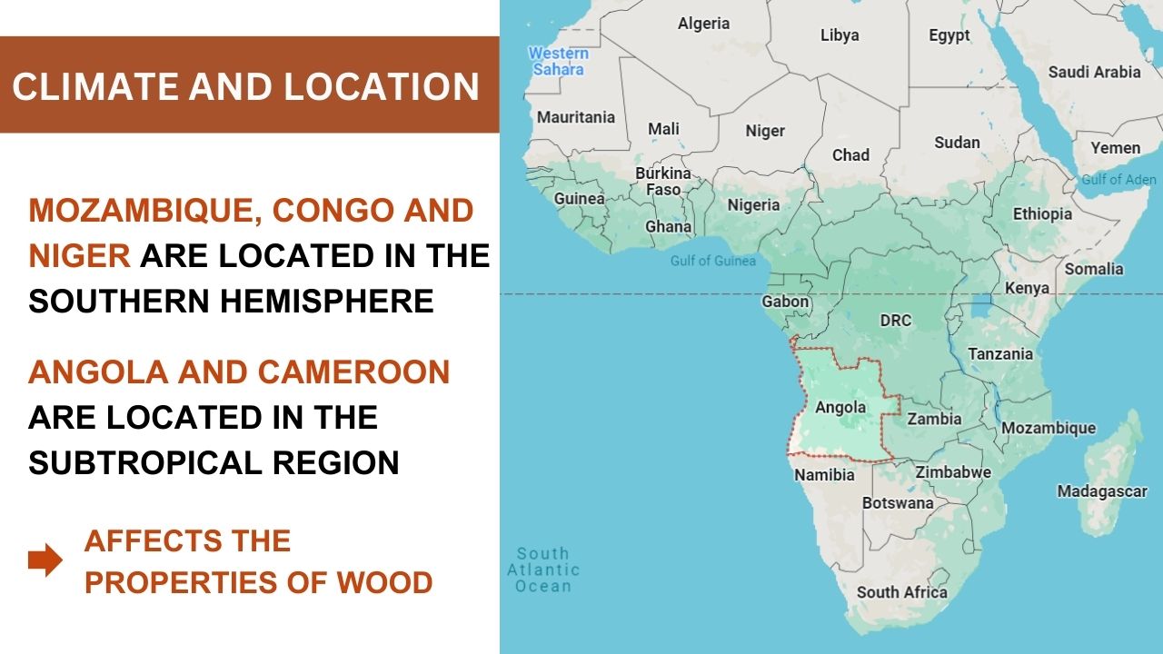 Why is wood from Mozambique, Congo, Niger cheaper than Angola ...