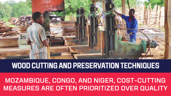 Why is wood from Mozambique, Congo, Niger cheaper than Angola ...