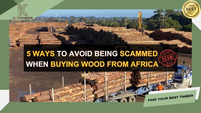 5 Ways to Avoid Being Scammed When Buying Wood from Africa – K-Timber