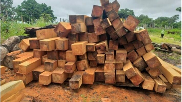 African Wood Types are Most Imported to VIETNAM – K-Timber