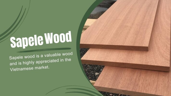 African Wood Types are Most Imported to VIETNAM – K-Timber