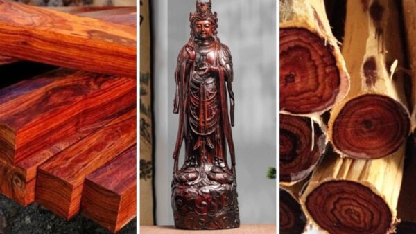 African Wood Types are Most Imported to VIETNAM – K-Timber