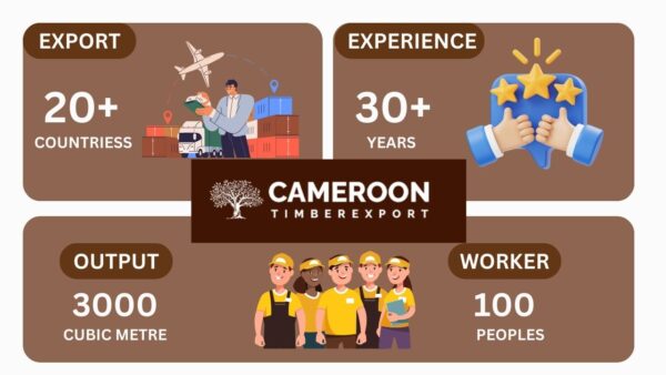 Checking Cameroon Timber Export Reviews Before Ordering Timber – K-Timber
