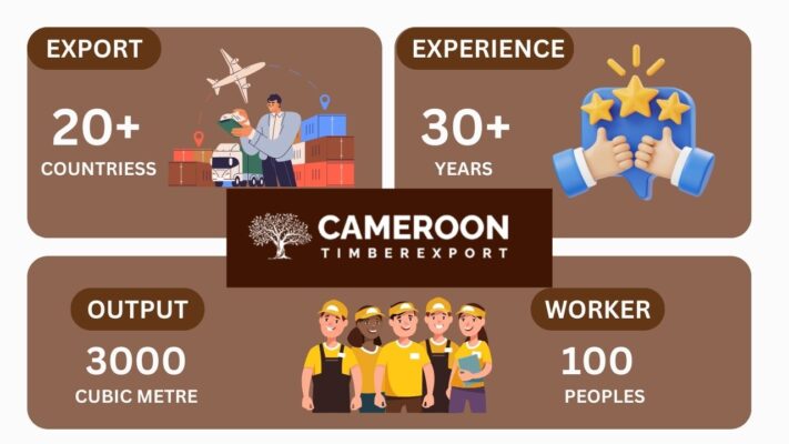Checking Cameroon Timber Export Reviews Before Ordering Timber – K-Timber