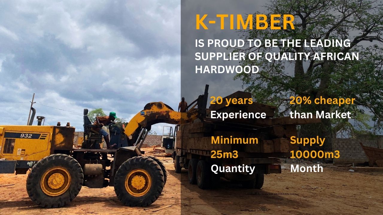 Sipo wood: Properties, Characteristics & Uses – K-Timber