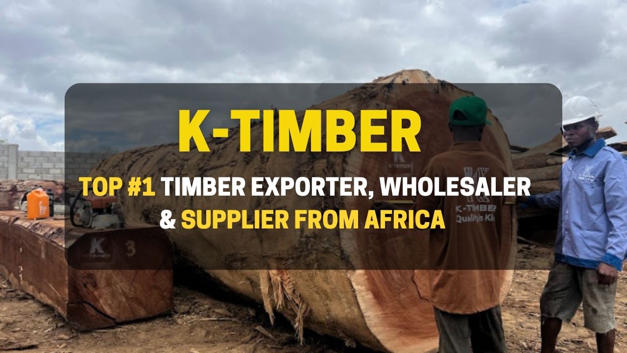 Top 5 African Wood Suppliers in the World – K-Timber