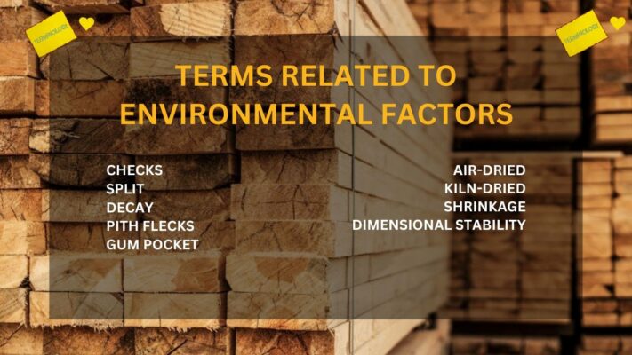 32 Wood Industry Terms You Need to Know – K-Timber