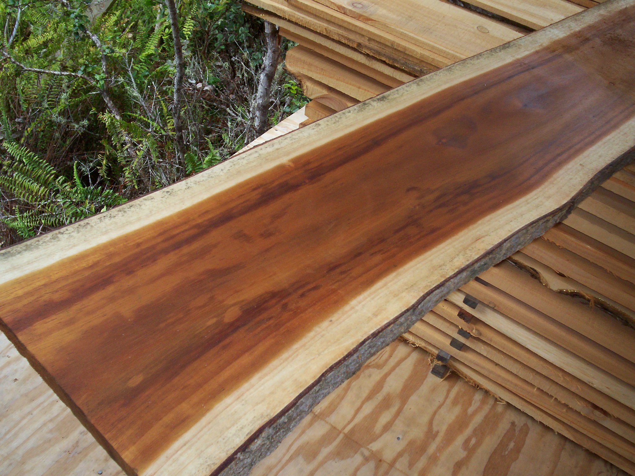 Acacia wood vs Eucalyptus wood: Which is better for outdoor funiture ...