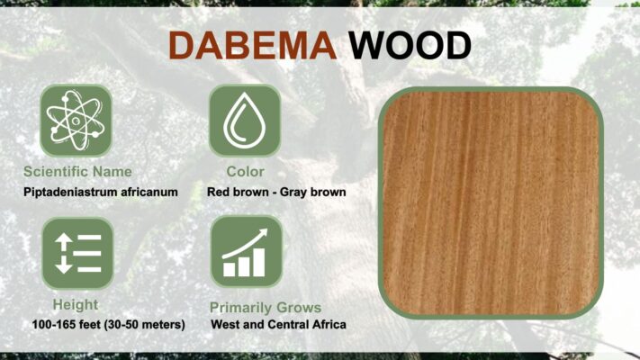 Dabema wood: Properties, Characteristics & Uses – K-Timber