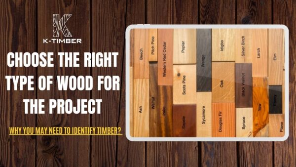 Timber Identification Guide – 6 Easy Ways To Do It – K-Timber