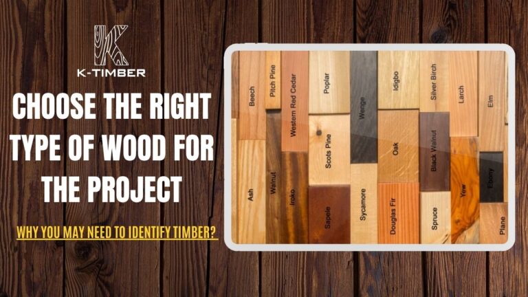 Timber Identification Guide – 6 Easy Ways To Do It – K-Timber