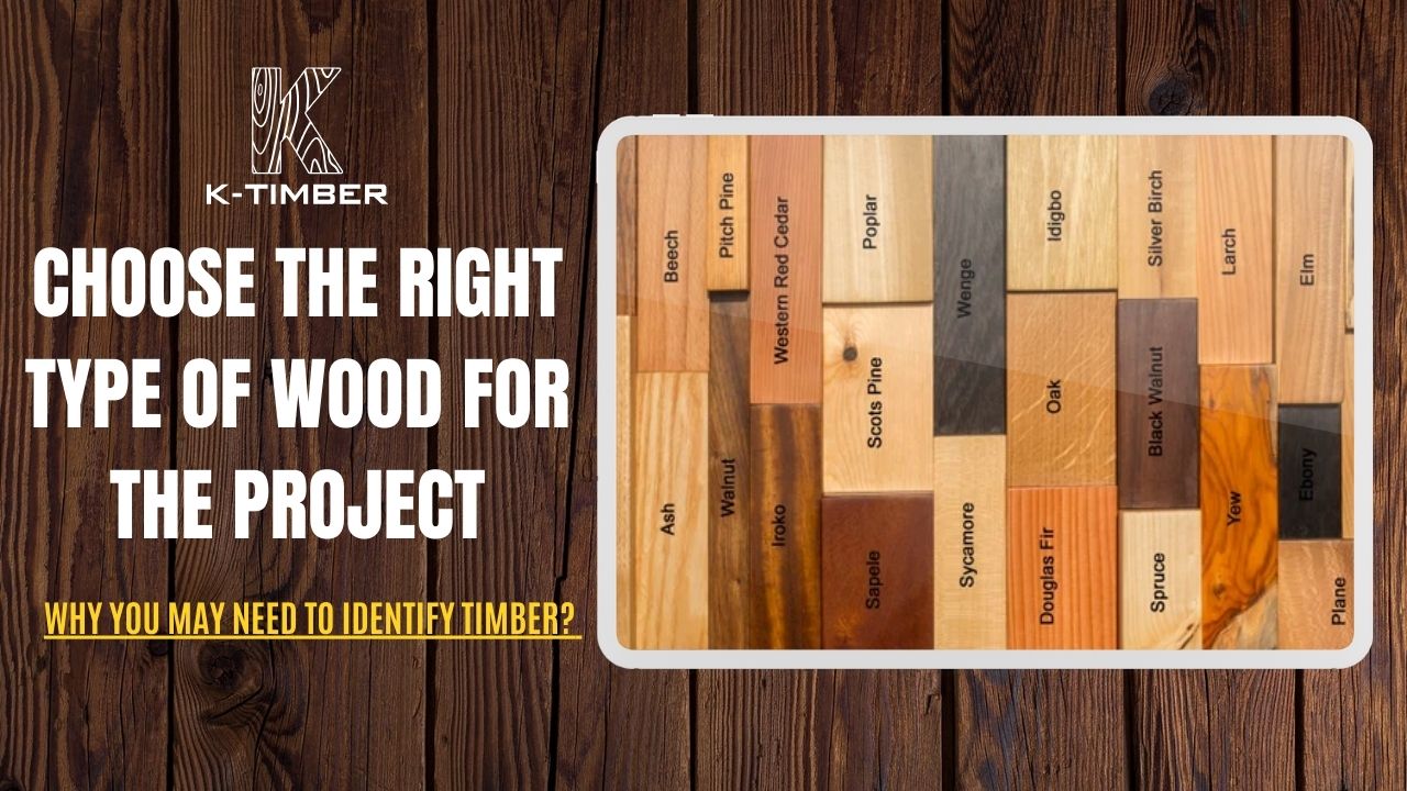 Timber Identification Guide – 6 Easy Ways To Do It – K-Timber