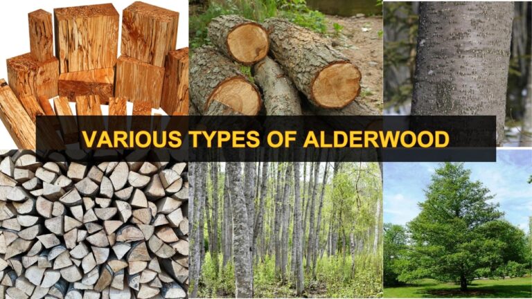 Alderwood: Properties, Characteristics & Uses – K-Timber