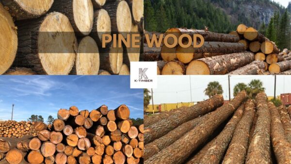 Pine Wood: properties, characteristics, and uses – K-Timber
