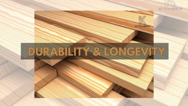Pine Wood: properties, characteristics, and uses – K-Timber